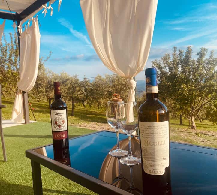 Aperitivo e degustazione di vini in vigna alla Cantina Sacco - Who Will Love This?