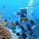 Aqua Safari Introductory Helmet Dive (Underwater Walk) - Final Thoughts