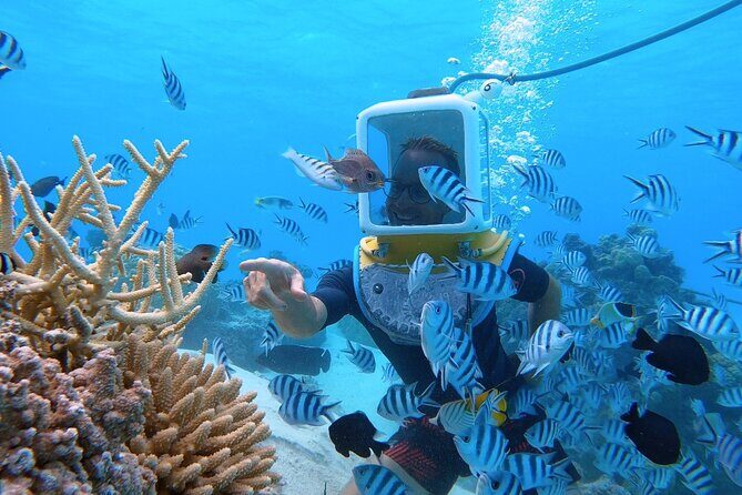 Aqua Safari Introductory Helmet Dive (Underwater Walk) - Final Thoughts