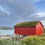 Arctic road trip - day tour. - Why This Tour Works Well
