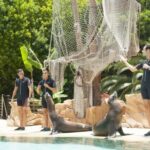 Arona: Entry Ticket to Tenerife's Jungle Park Zoo - What We Love: Highlights and Practicalities