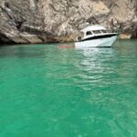 Arrábida - Fantastic dolphin tour - Practical Tips for Making the Most of Your Trip