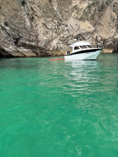 Arrábida - Fantastic dolphin tour - Practical Tips for Making the Most of Your Trip