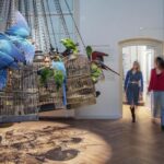 Art Zoo Museum: Art meets nature in a 17th-Century House - Practical Information for Visitors