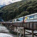 Arthurs Pass Day Tour From Christchurch With TranzAlpine - Reviews & Feedback: What Travelers Are Saying
