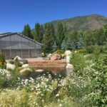 Aspen's Off the Beaten Path Scenic Walking Tour - Scenic Riverside Paths & Nature Connection