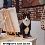 Athens: Cat Café Paint & Sip Experience - Deep Dive into the Experience