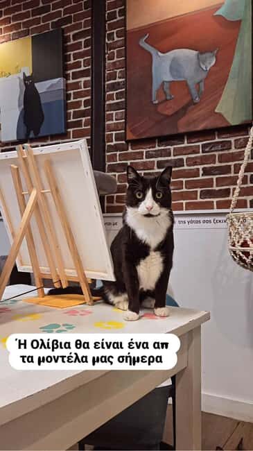 Athens: Cat Café Paint & Sip Experience - Deep Dive into the Experience
