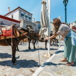 Athens: Hydra, Poros & Aegina Day Cruise with Lunch - The Real Experience: What Travelers Are Saying