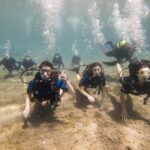Athens: Try Scuba Diving - Final Thoughts: Who Will Love This Tour?