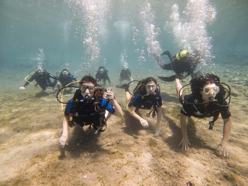 Athens: Try Scuba Diving - Final Thoughts: Who Will Love This Tour?