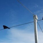 Attraction Ticket: Jungfraujoch self-guided day trip - The Experience from a Travelers Perspective