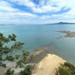 Auckland City and West Coast Full Day Tour - Transportation and Group Size: Comfort and intimacy
