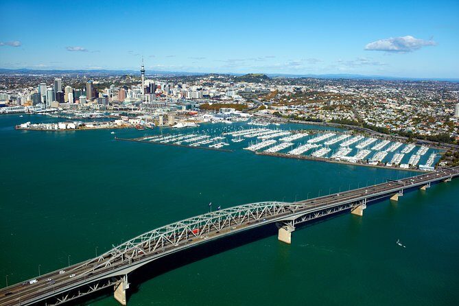 Auckland Shore Excursion: Half-Day Guided City Tour - Why This Tour Is Worth Considering