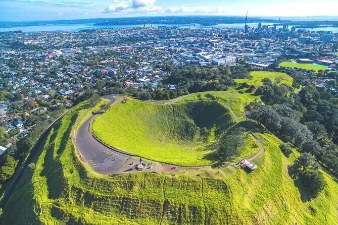 Auckland Sightseeing TourPrivate Full Day/Half Day Driver+Tesla - Who Will Love This Tour?