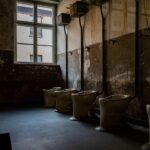 Auschwitz-Birkenau: Skip-the-Line Entry and Guided Tour - The Sum Up