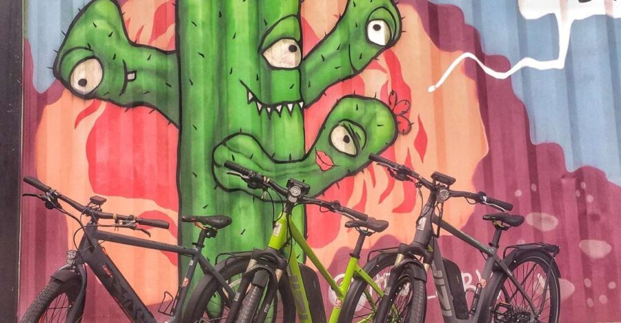 Austin: Electric Bike City Sightseeing Tour - The Swim at Barton Springs