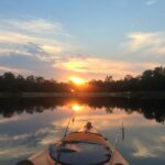 Austin: Sunset Bat Watching Kayak Tour - Why Is This Tour Worth It?