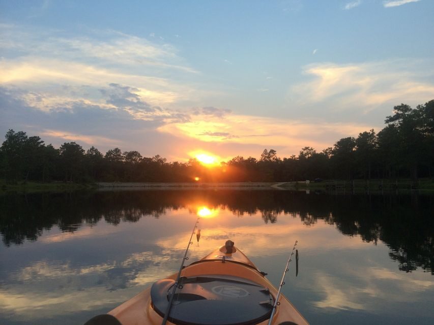 Austin: Sunset Bat Watching Kayak Tour - Why Is This Tour Worth It?