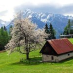 Authentic Slovenia: A Mystery Travel Day Tour - Small Group Dynamics