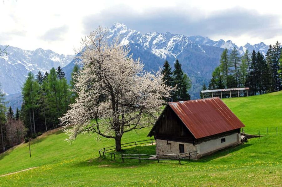 Authentic Slovenia: A Mystery Travel Day Tour - Small Group Dynamics