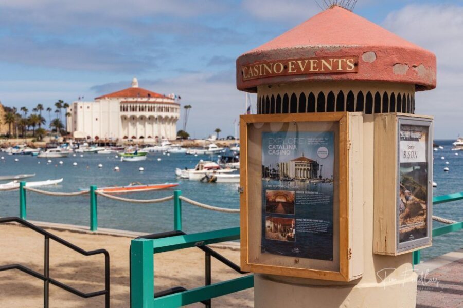 Avalon: Private Golf Cart Tour with Driver-Guide - The Sum Up