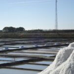 Aveiro: Walking Tour, Boat Cruise, Sweets & Church Entrance - The Details of the Tour Experience