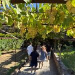 Azeitão: Great visit to wineries, farms, palace, and wine tasting. - Why This Tour Offers Great Value