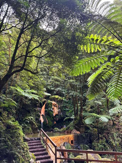 Azores: Janela do Inferno, Caldeira Velha Guided Hiking Tour - Who Will Enjoy This Experience?