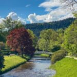 Baden-Baden: Guided tour along Lichtentaler Allee - The Value of This Guided Experience