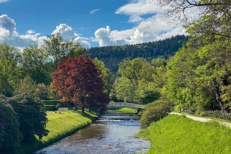 Baden-Baden: Guided tour along Lichtentaler Allee - The Value of This Guided Experience
