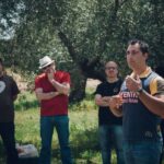 Baeza: Visit to an Organic Olive Grove + Oil Tasting - The Sum Up