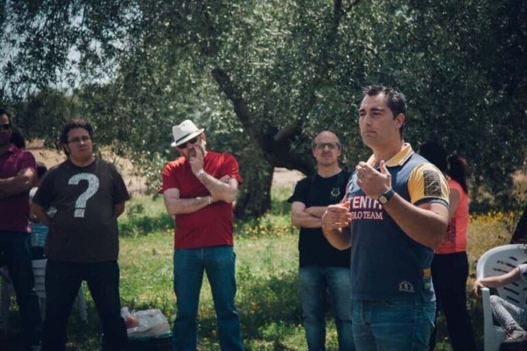 Baeza: Visit to an Organic Olive Grove + Oil Tasting - The Sum Up