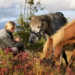 Bakvattnet: Pack horse trekking tour in Blomsterkogen - Breaking Down the Experience