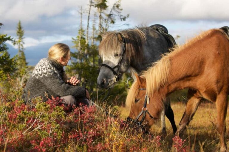 Bakvattnet: Pack horse trekking tour in Blomsterkogen - Breaking Down the Experience