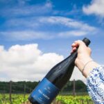 Balaton: Vineyard Tour and Wine Tasting with Zelna - The Farkó-k Vineyard: The Birthplace of Zelna Wines