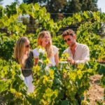 Barcelona: Alella Wine Tour with Tasting & Vineyard Picnic - What Makes the Alella Wine Tour Special