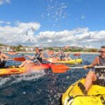 Barcelona: Costa Brava Kayaking & Snorkeling Tour with Lunch - Analyzing the Value: Is It Worth the Price?