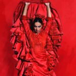 Barcelona: Flamenco Dance Class for Beginners at the Flamenco Theater - What’s Included in the Class?