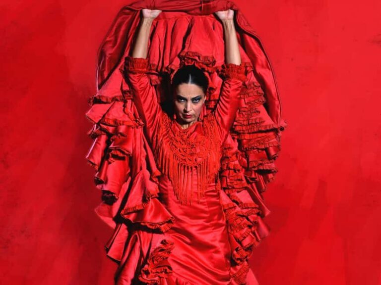 Barcelona: Flamenco Dance Class for Beginners at the Flamenco Theater - What’s Included in the Class?