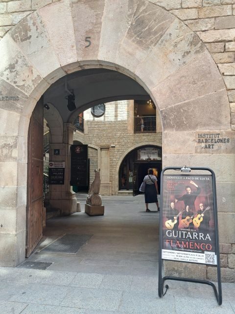 Barcelona: Guitar Trio & Flamenco Dance @Pignatelli Castle - Practicalities and Tips
