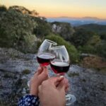 Barcelona: Montjuïc Tour with a glass of Wine - Final Thoughts: Is this Tour Right for You?