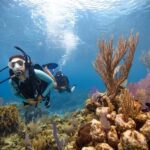 BARCELONA: SCUBA DIVING INITIATION - Dive in and experience underwater adventures - 2 hours - Exploring the Dive Experience: A Detailed Breakdown