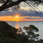Barcelona: Tossa de Mar & Costa Brava very small group - What Sets This Tour Apart?
