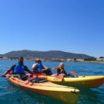 Barcelona Wild Experience: Kayak & Snorkel in Costa Brava - A Detailed Breakdown of the Experience