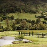 Barefoot Luxury Mount Tamborine Winery Tour from Brisbane - Logistics & Practical Considerations