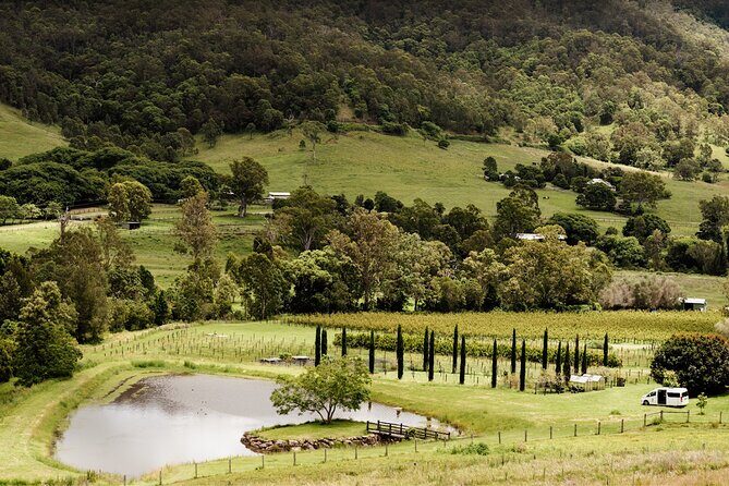 Barefoot Luxury Mount Tamborine Winery Tour from Brisbane - Logistics & Practical Considerations