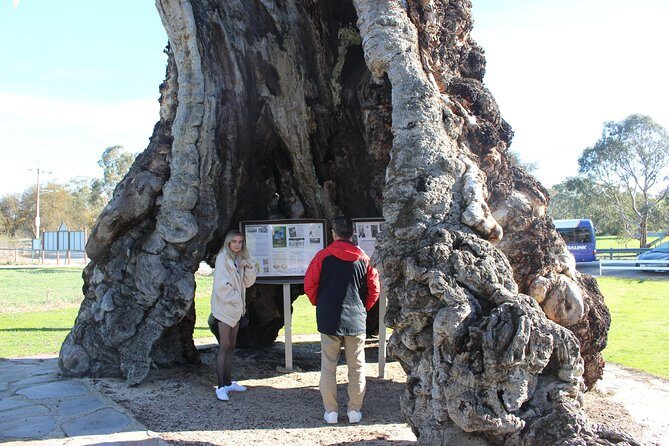 Barossa and Hahndorf Day Trip from Adelaide Including Wine Tasting and Lunch - What Travelers Are Saying