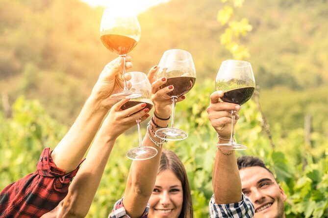 Barossa Valley Cellar Door Small Group Tour - Deep Dive into the Experience