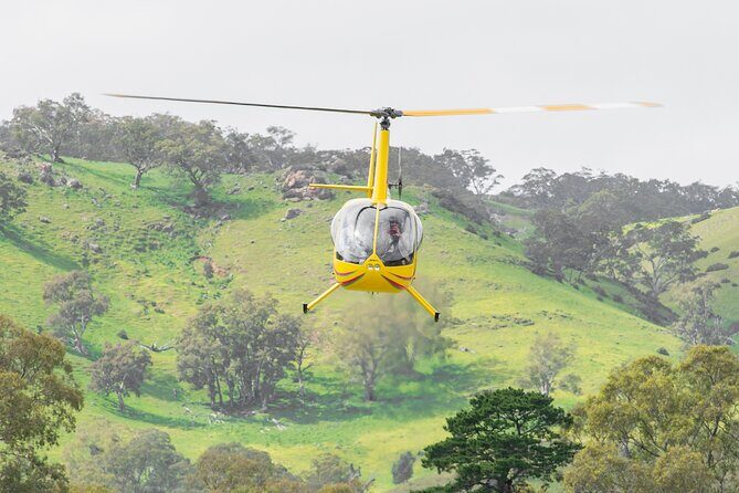 Barossa Valley Deluxe: 30-Minute Helicopter Flight - Why It’s Worth Considering